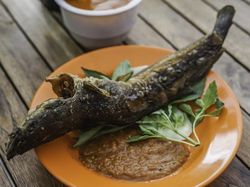 Berita dan Informasi Pecel lele enak di jakarta Terkini dan Terbaru Hari ini - detikcom