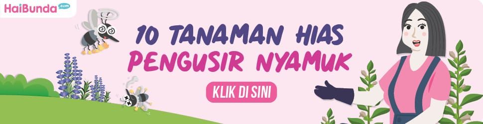 Cerita Ustaz Khalid Basalamah Nikahi Istri Mualaf, Pernah Diminta Poligami Cerita Ustaz Khalid Basalamah Nikahi Istri Mualaf, Pernah Diminta Poligami