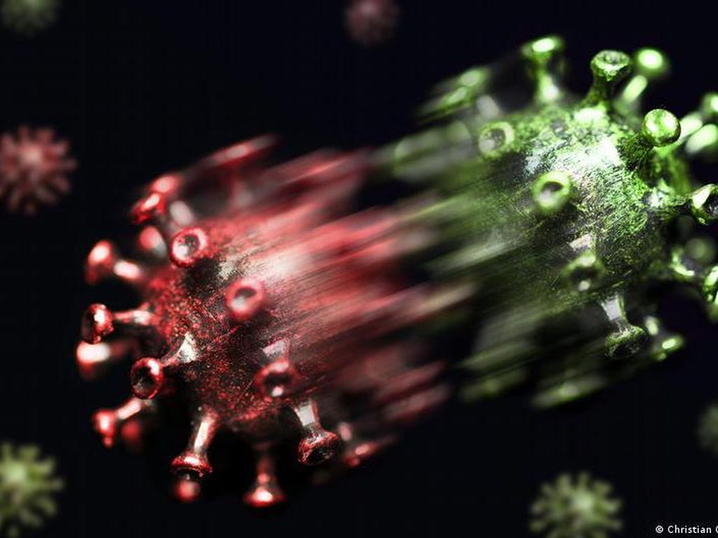 Berita dan Informasi Mutasi virus corona Terkini dan Terbaru Hari ini ... Berita dan Informasi Mutasi virus corona Terkini dan Terbaru Hari ini ...