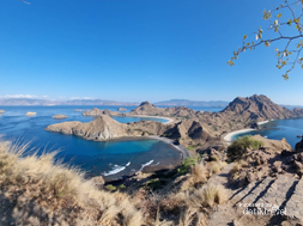 Berita Dan Informasi Operator Wisata Labuan Bajo Terkini Dan Terbaru