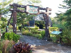 Berita dan Informasi Kebun raya indrokilo boyolali Terkini dan Terbaru ...