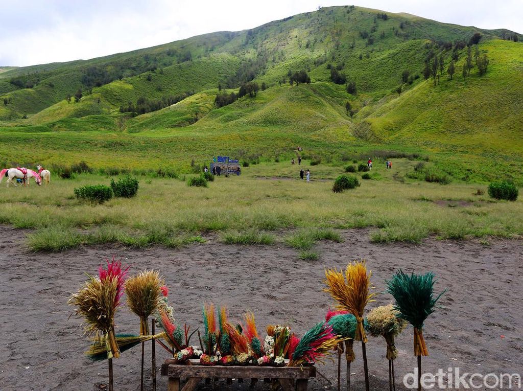 Berita dan Informasi Bukit teletubbies gunung bromo Terkini dan Terbaru ... Berita dan Informasi Bukit teletubbies gunung bromo Terkini dan Terbaru ...