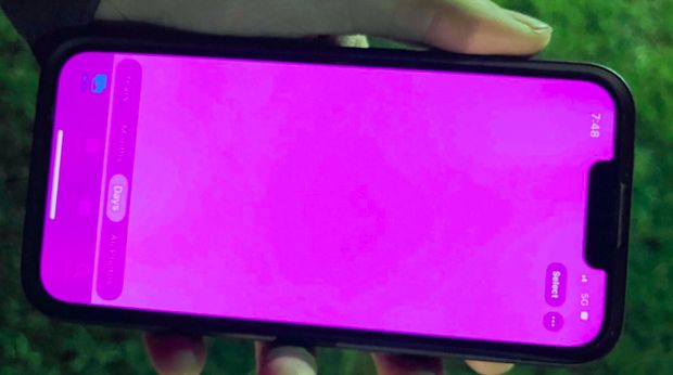 Kamu Pengguna iPhone 13 dan Mengalami Pink Screen? Coba Lakukan Ini ...