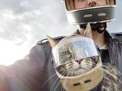 Berita dan Informasi Helm kucing Terkini dan Terbaru Hari ini - detikcom