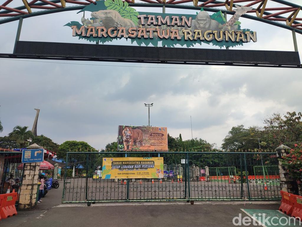 Berita dan Informasi Harga tiket kebun binatang ragunan Terkini dan ... Berita dan Informasi Harga tiket kebun binatang ragunan Terkini dan ...