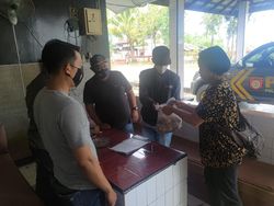 Berita dan Informasi Telur penyu Terkini dan Terbaru Hari ini - detikcom