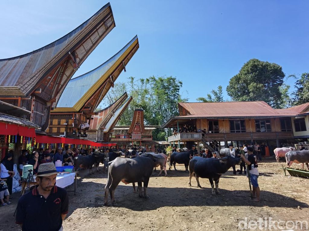 Berita dan Informasi Ritual adat kematian Terkini dan Terbaru Hari ini ... Berita dan Informasi Ritual adat kematian Terkini dan Terbaru Hari ini ...