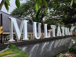 Berita dan Informasi Museum multatuli Terkini dan Terbaru Hari ini ...