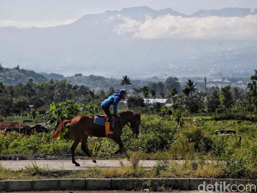 Berita dan Informasi Nii di garut Terkini dan Terbaru Hari ini - detikcom Berita dan Informasi Nii di garut Terkini dan Terbaru Hari ini - detikcom