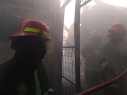 Berita dan Informasi Kebakaran pabrik alumunium foil Terkini dan Terbaru Hari ini - detikcom