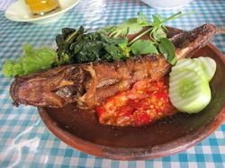 Berita dan Informasi Pecel lele Terkini dan Terbaru Hari ini - detikcom