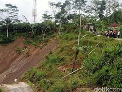 Berita dan Informasi Longsor di banjarnegara Terkini dan Terbaru Hari ini - detikcom