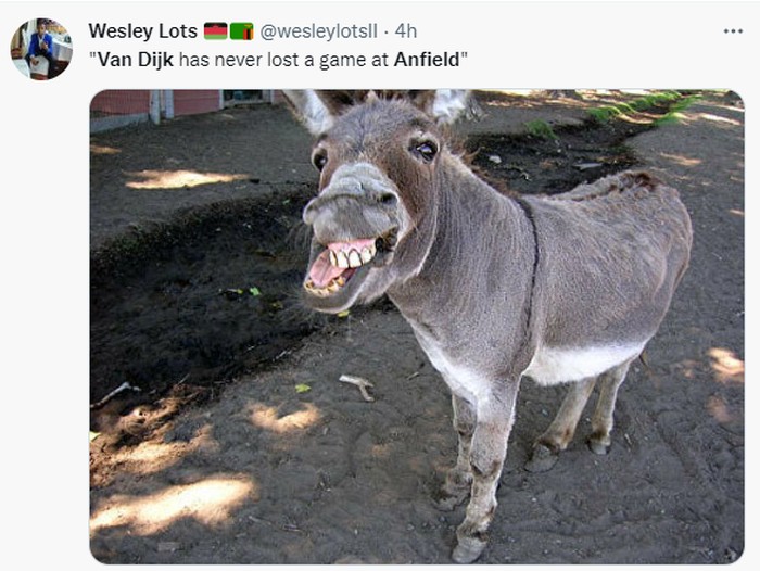 Virgil van Dijk Banjir Meme Usai Kalah di Anfield