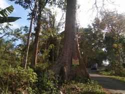 Berita dan Informasi Gendruwo Terkini dan Terbaru Hari ini - detikcom