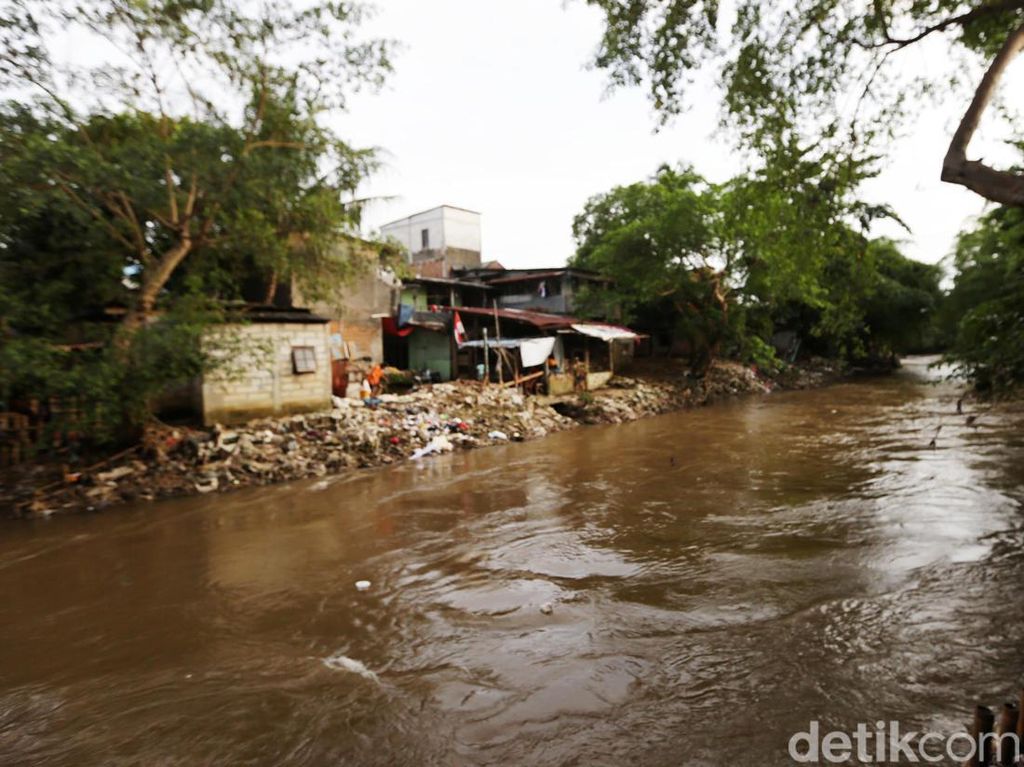 Berita Dan Informasi Ciliwung Terkini Dan Terbaru Hari Ini Detikcom