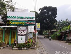 Berita dan Informasi Bogor mini zoo Terkini dan Terbaru Hari ini - detikcom
