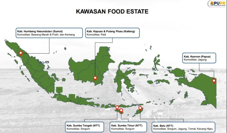 Dapat Kritik PDIP, Food Estate Diperlukan RI, Kenapa?