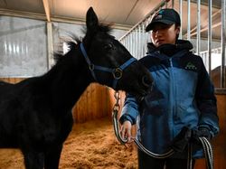 Berita dan Informasi Hewan kloning Terkini dan Terbaru Hari ini - detikcom