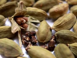 Berita dan Informasi Manfaat kapulaga Terkini dan Terbaru Hari ini ...