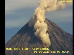 Berita dan Informasi Guguran gunung semeru Terkini dan Terbaru Hari ini - detikcom