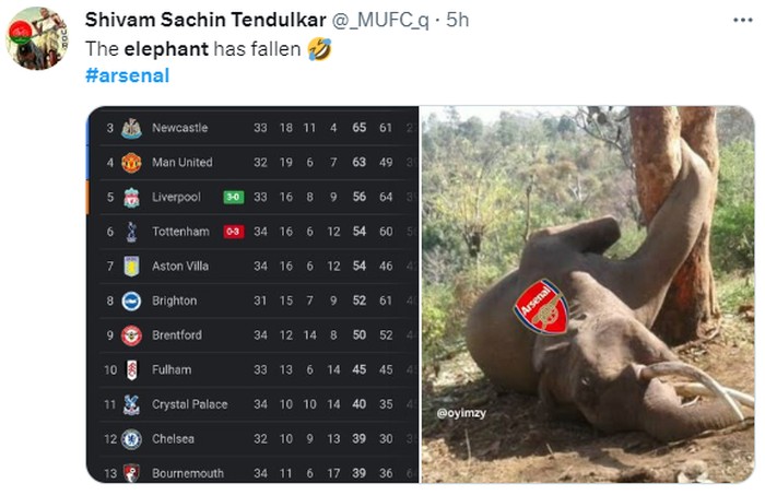 Meme Kocak Arsenal 'Sang Gajah' Akhirnya Jatuh Juga dari Pohon