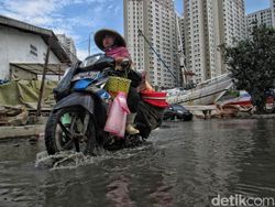 Berita Dan Informasi Banjir Rob Pesisir Jakarta Terkini Dan Terbaru