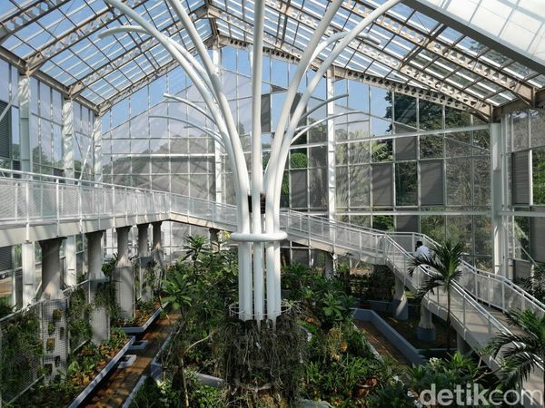 Berita dan Informasi Kebun raya bogor Terkini dan Terbaru Hari ini ...