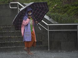 Berita dan Informasi Gelombang ekuatorial rossby Terkini dan Terbaru Hari ini - detikcom