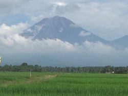 Berita dan Informasi Gunung semeru kebakaran Terkini dan Terbaru Hari ini - detikcom