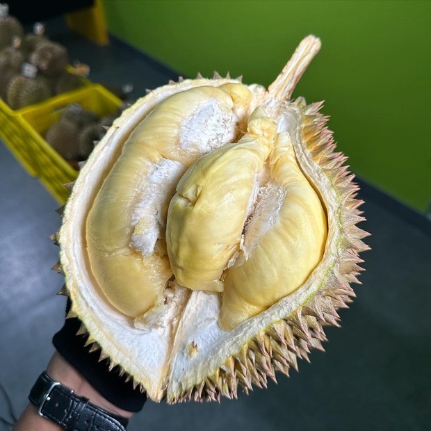 Bikin Goyang Lidah, 5 Jenis Durian Terenak dan Populer di Indonesia Ini Wajib Kamu Coba Semua!