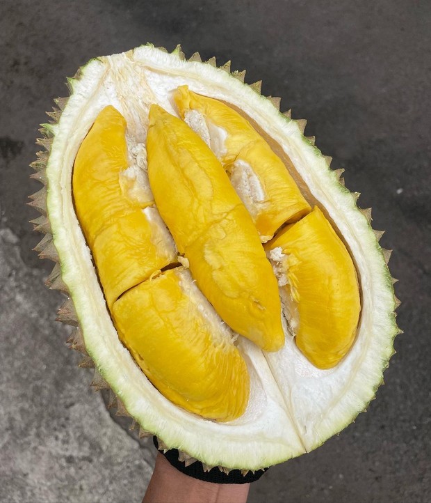 Bikin Goyang Lidah, 5 Jenis Durian Terenak dan Populer di Indonesia Ini Wajib Kamu Coba Semua!