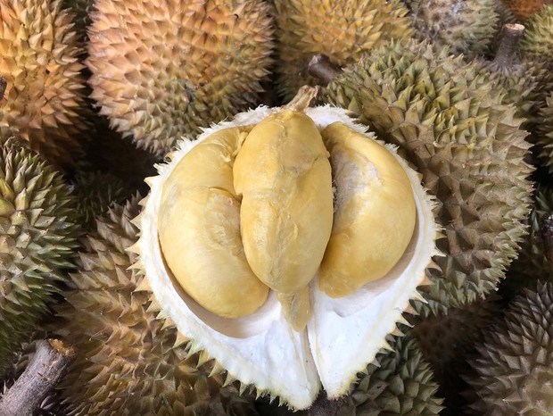 Bikin Goyang Lidah, 5 Jenis Durian Terenak dan Populer di Indonesia Ini Wajib Kamu Coba Semua!