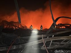 Berita dan Informasi Kebakaran pabrik plastik gresik Terkini dan Terbaru Hari ini - detikcom
