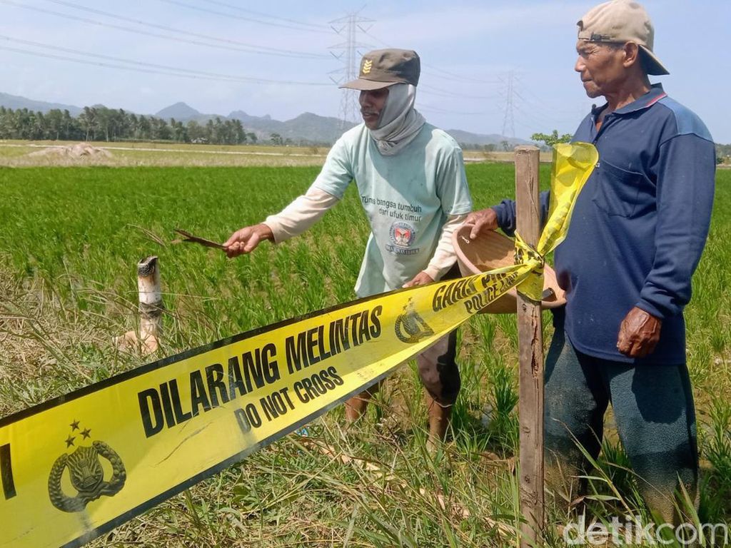Berita dan Informasi Sumur bor keluarkan gas Terkini dan Terbaru Hari ... Berita dan Informasi Sumur bor keluarkan gas Terkini dan Terbaru Hari ...