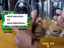 Berita dan Informasi Milo indonesia Terkini dan Terbaru Hari ini - detikcom