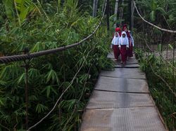 Berita dan Informasi Jembatan gantung Terkini dan Terbaru Hari ini - detikcom