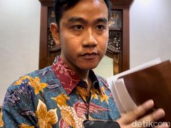 Berita dan Informasi Bisnis gibran Terkini dan Terbaru Hari ini - detikcom