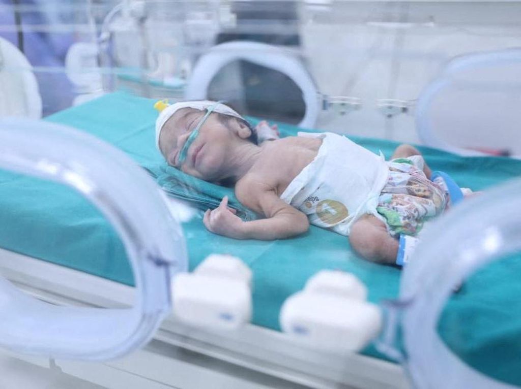 Berita dan Informasi Bayi prematur gaza Terkini dan Terbaru Hari ini ... Berita dan Informasi Bayi prematur gaza Terkini dan Terbaru Hari ini ...