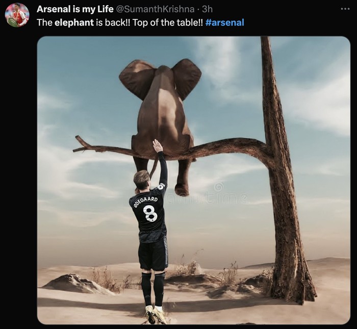 Meme Gajah Muncul Lagi Usai Arsenal ke Puncak Klasemen Liga Inggris
