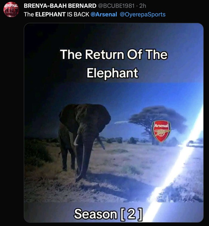 Meme Gajah Muncul Lagi Usai Arsenal ke Puncak Klasemen Liga Inggris