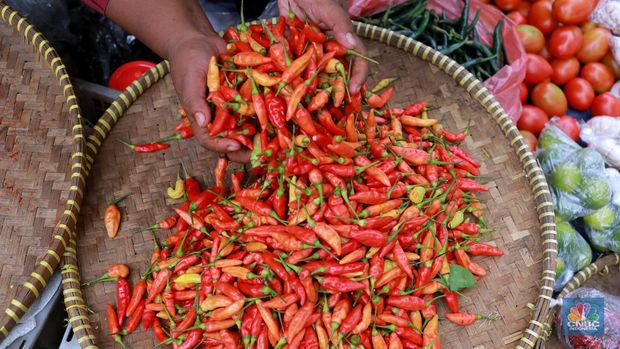 Harga Pangan Hari Ini: Cabai Rawit Merah Ngegas Terus!