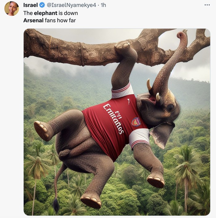 Arsenal Kalah dan 'Dihajar' Meme Gajah Jatuh dari Pohon!