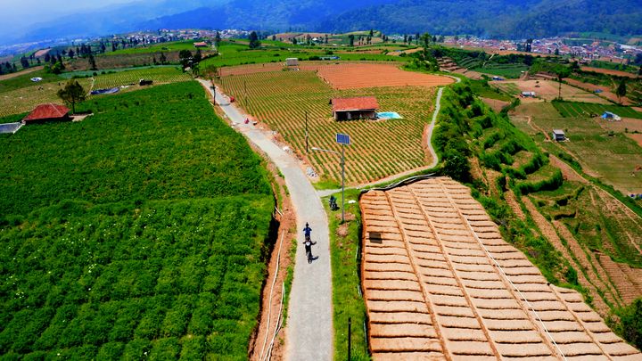 Jelajah Mutu Manikam di Ujung Timur Jawa