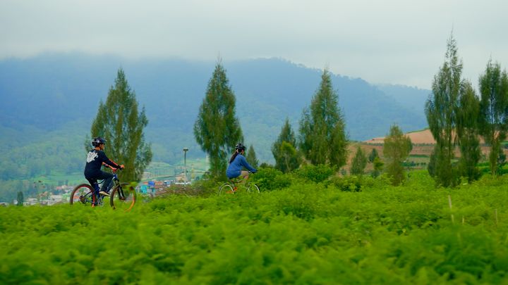 Jelajah Mutu Manikam di Ujung Timur Jawa