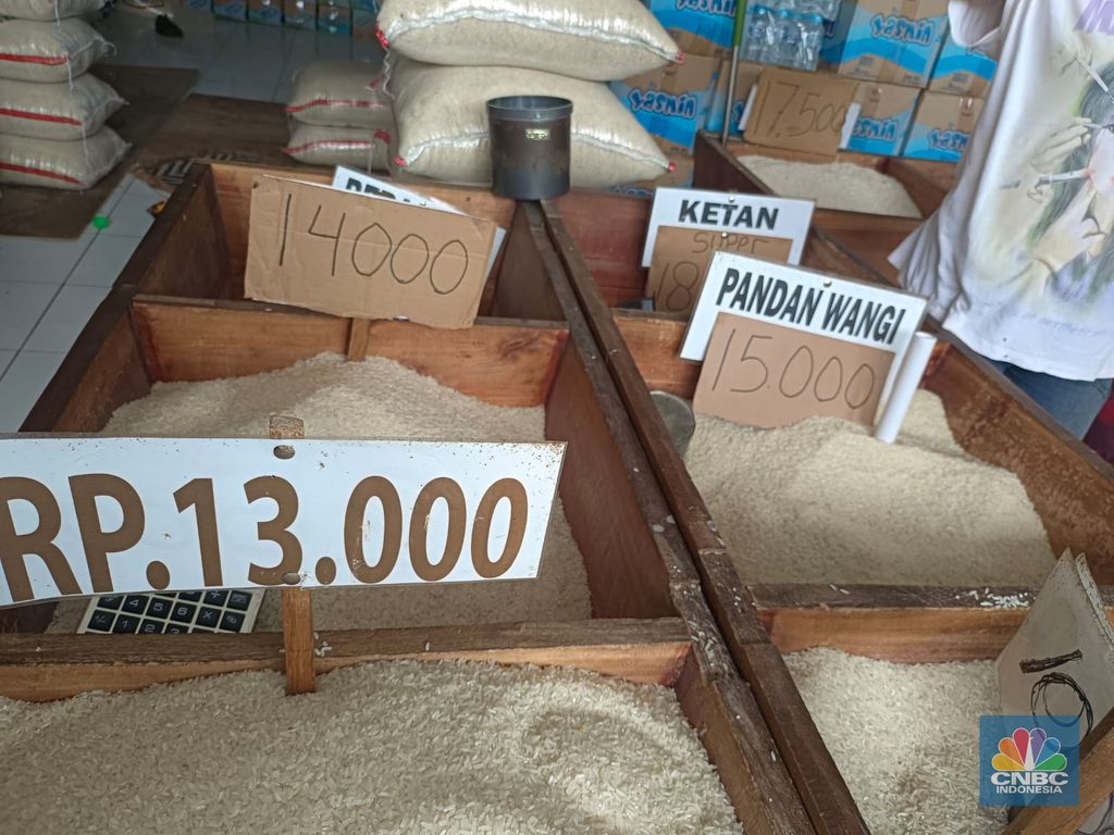 Harga Beras Terus Meroket Cetak Rekor, Apa Penyebabnya?