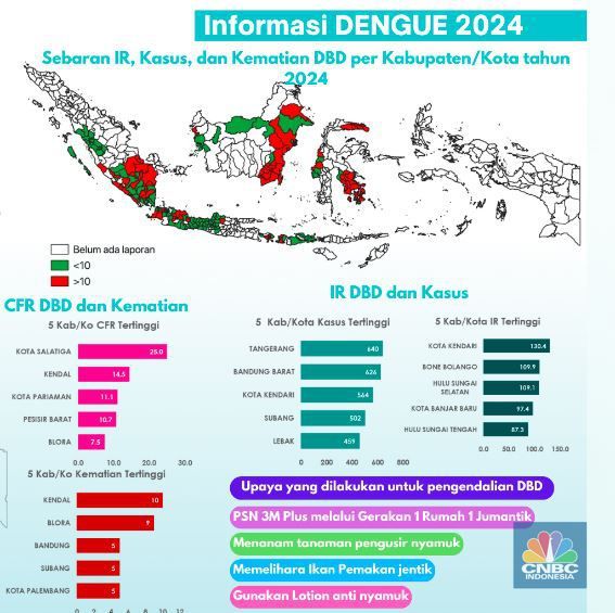 Awas! Ancaman DBD Intai RI, Kasus Kematian Tembus Ratusan Jiwa