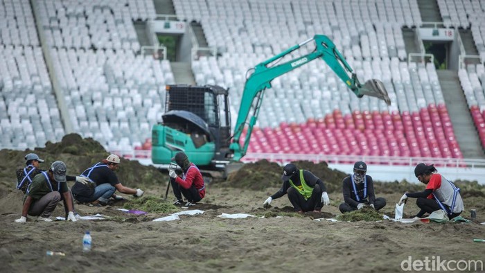 Revitalisasi Rumput SUGBK Dimulai