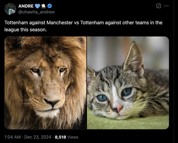 Meme Tottenham Jadi Robin Hood, Pencuri Poin yang Murah Hati