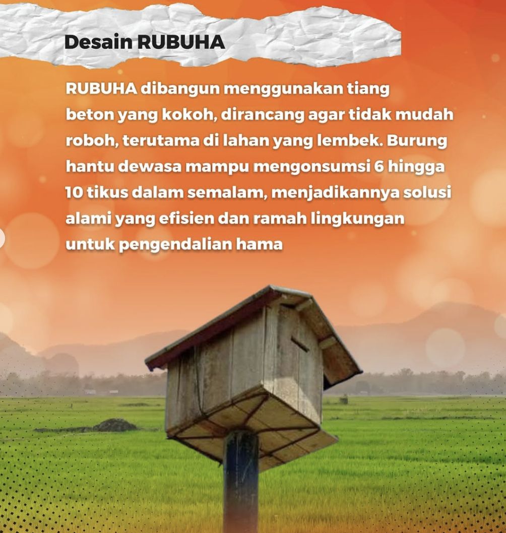 Pupuk Indonesia: Pilar Ketahanan Pangan & Keberlanjutan Pertanian