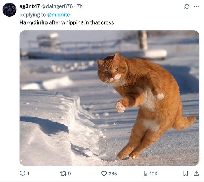 Foto: Meme Kocak Harrydinho Maguire yang Jago Gocek